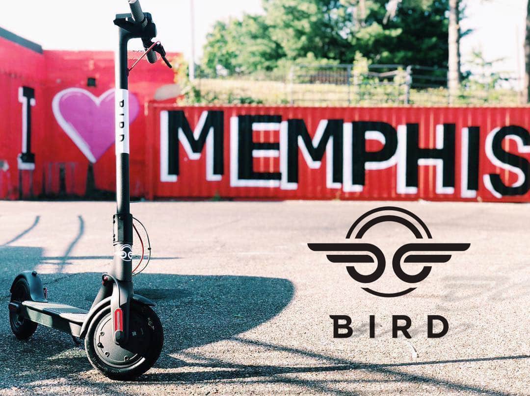 Bird Scooters Memphis | Explore Memphis on Scooters